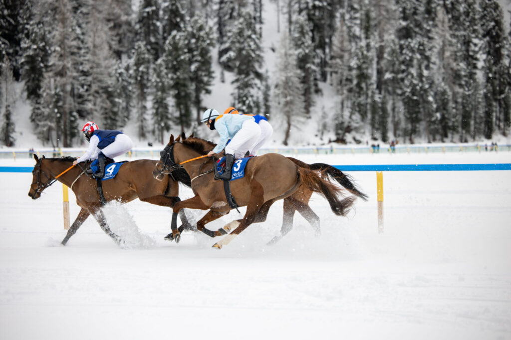 White Turf 2024 In St. Moritz. Where Sports Spectacle Meet Nature And ...