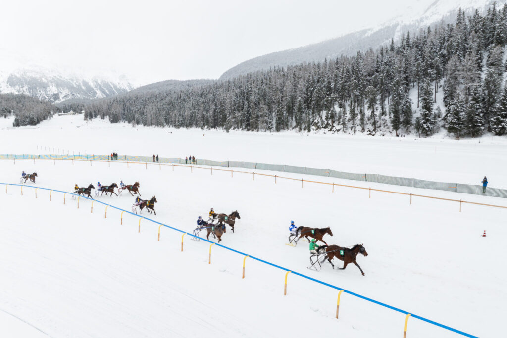 White Turf 2024 In St. Moritz. Where Sports Spectacle Meet Nature And ...