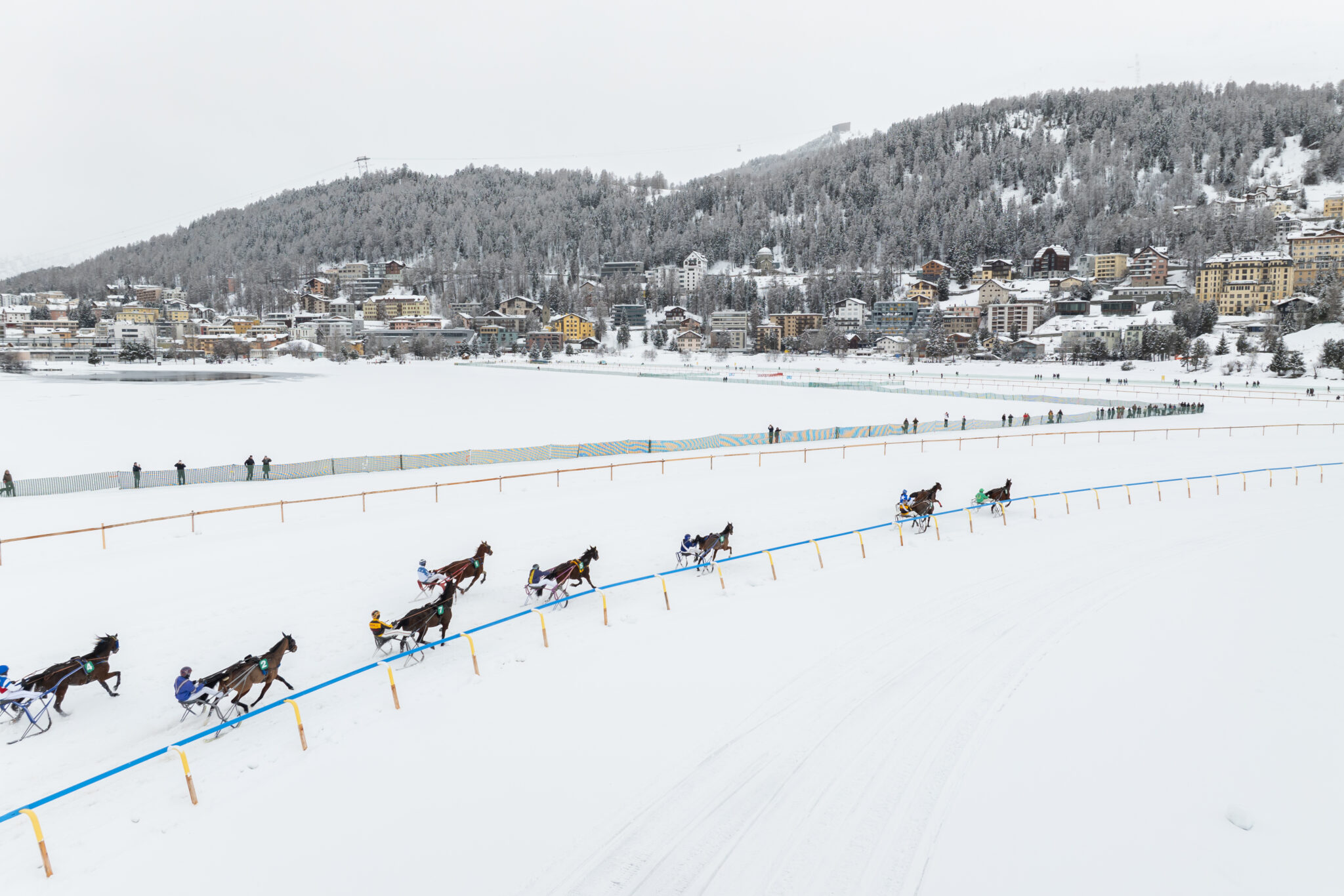White Turf 2024 In St. Moritz. Where Sports Spectacle Meet Nature And ...
